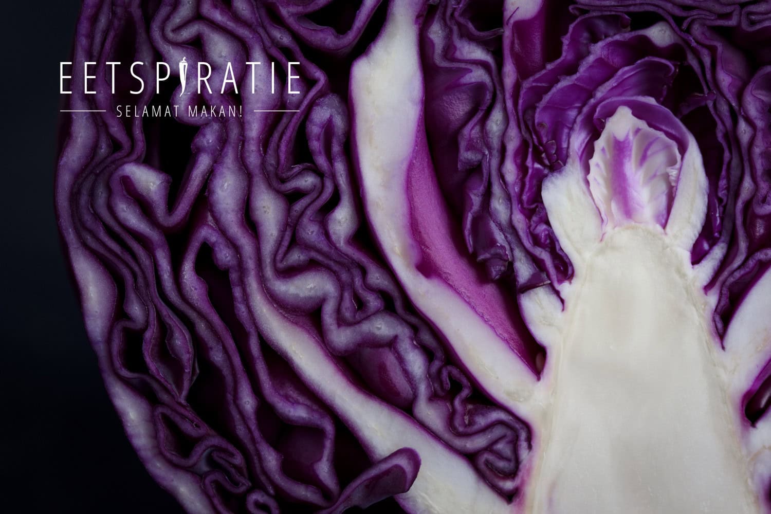 Groente inspiratie - recepten met rode kool | Eetspiratie