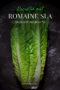 Groente inspiratie - recepten met Romaine sla | Eetspiratie